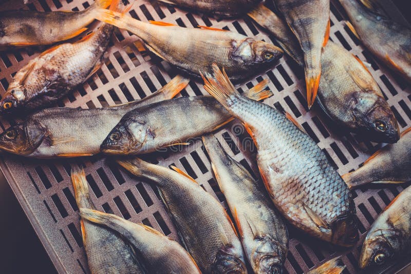 The Process of Preparing Dried Fish with an Automatic Dryer at Home ...