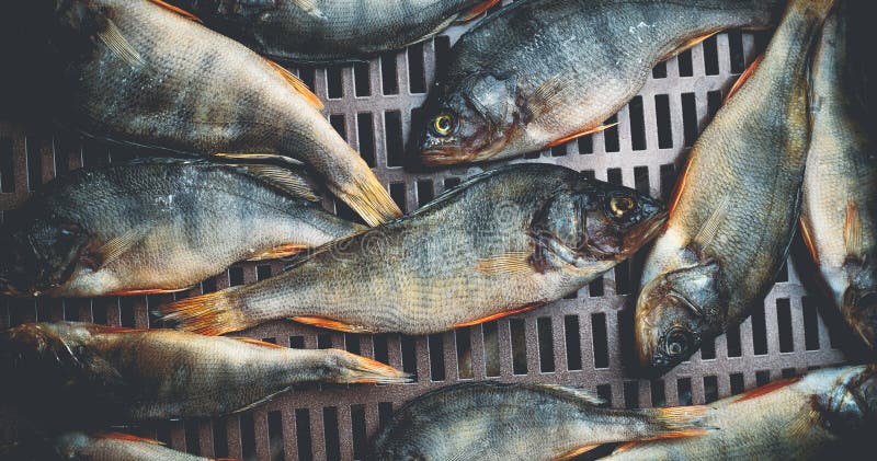 The Process of Preparing Dried Fish with an Automatic Dryer at Home ...