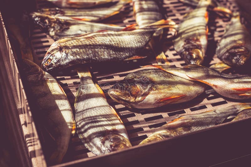 The Process of Preparing Dried Fish with an Automatic Dryer at Home ...