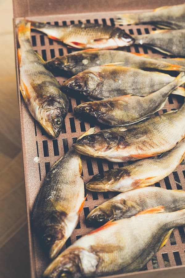 The Process of Preparing Dried Fish with an Automatic Dryer at Home ...