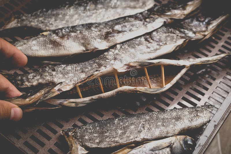 The Process of Preparing Dried Fish with an Automatic Dryer at Home ...