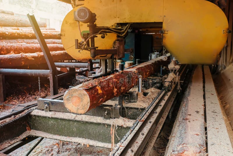 The Process of Processing Logs on the Equipment of a Sawmill Stock ...