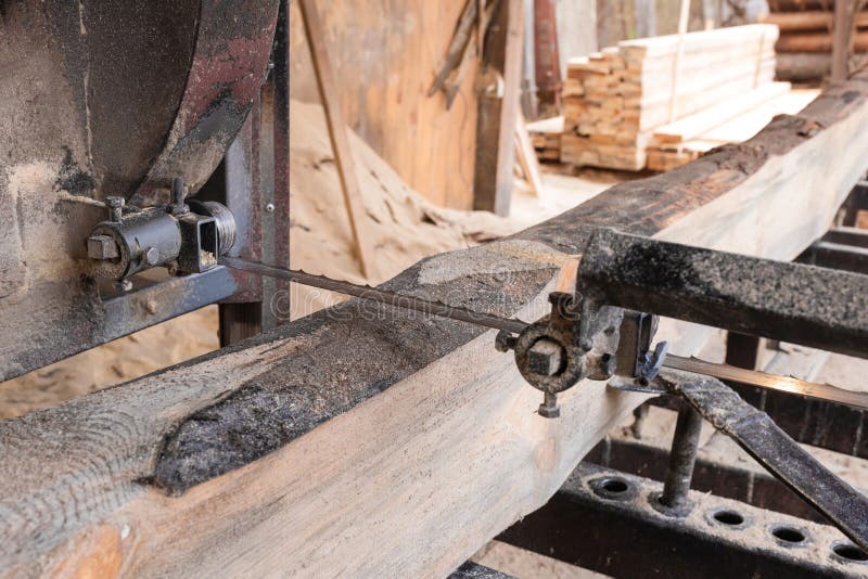 The Process of Processing Pine Wood on the Equipment of a Sawmill ...