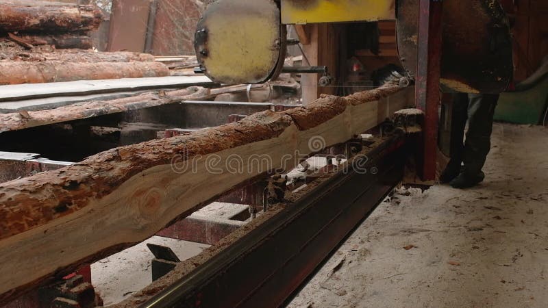 The Process of Processing Pine Wood on Sawmill Equipment. Timber ...