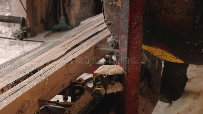 The Process of Processing Pine Wood on a Sawmill at a Wood Production ...