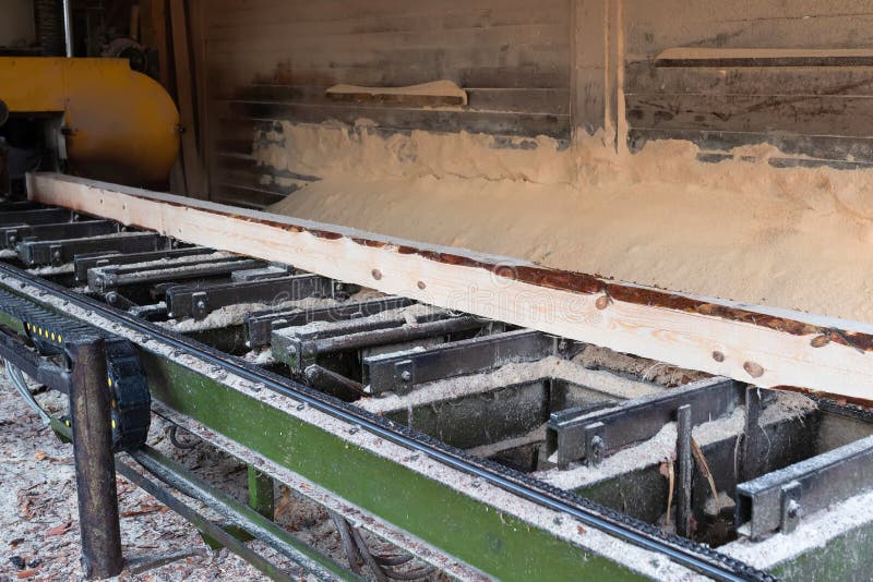 The Process of Processing Pine Wood at the Sawmill. Timber Industry ...
