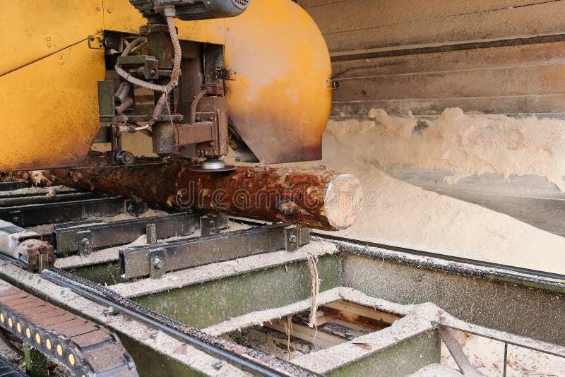 The Process of Processing Wood at the Sawmill. Timber Industry Stock ...