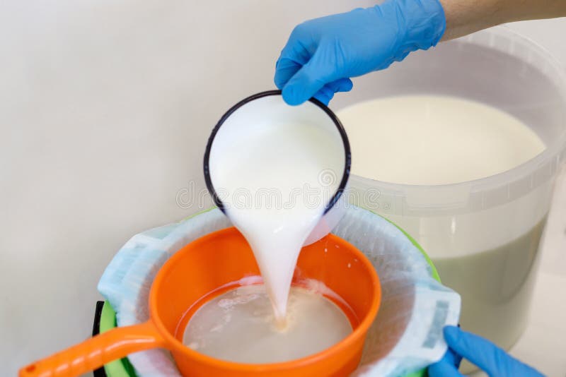 The Process of Producing Cheese at Home. the Process of Filtering Milk ...