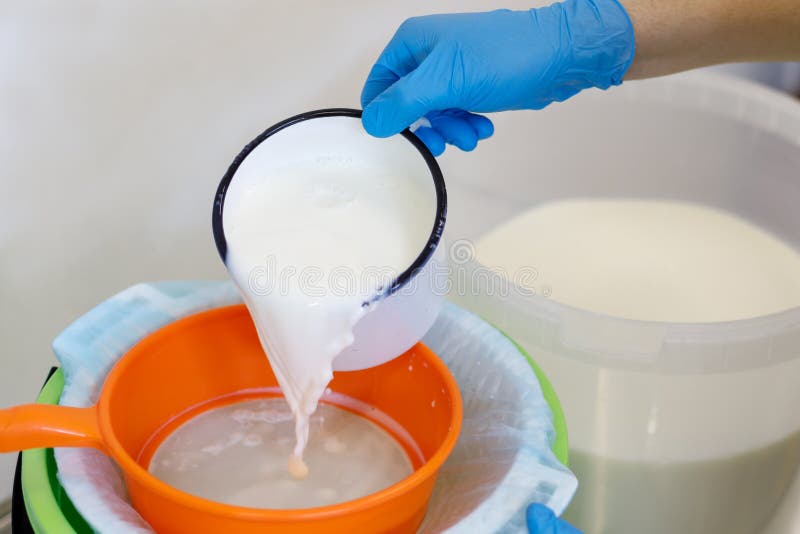 The Process of Producing Cheese at Home. the Process of Filtering Milk ...