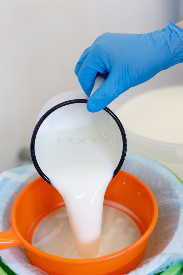The Process of Producing Cheese at Home. the Process of Filtering Milk ...