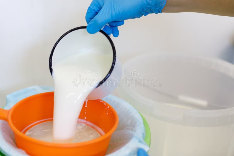 The Process of Producing Cheese at Home. the Process of Filtering Milk ...