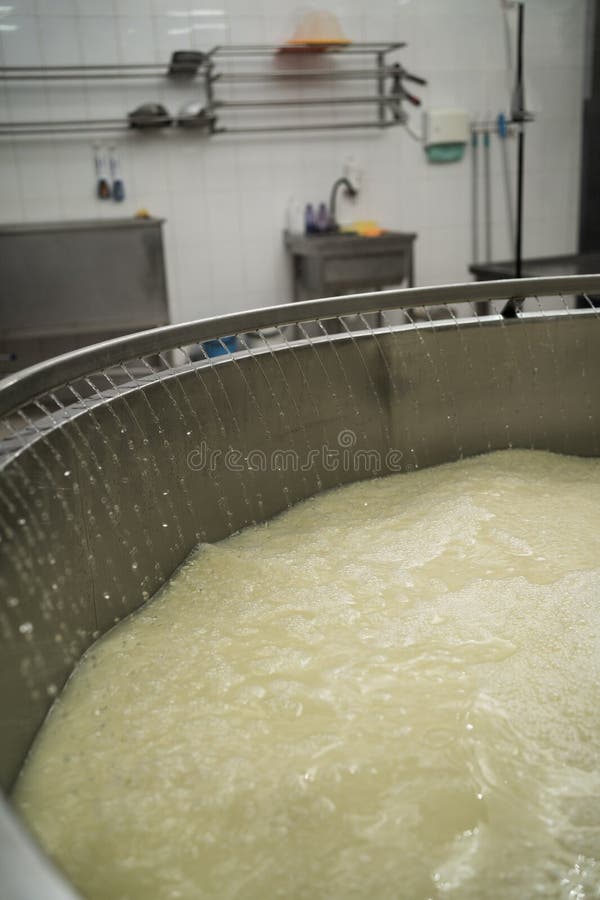 Process of Producing of Cheese in Industry, Heating Milk with Hot Water ...