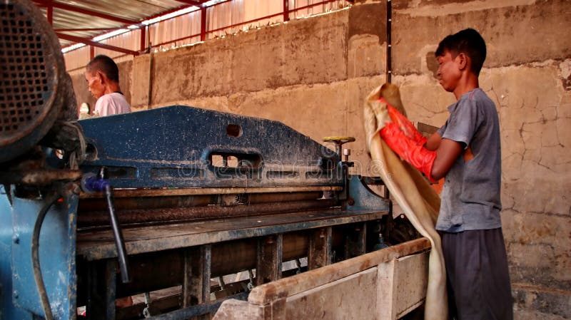 The Process of Producing Cowhide Leather for the Clothing Industry ...