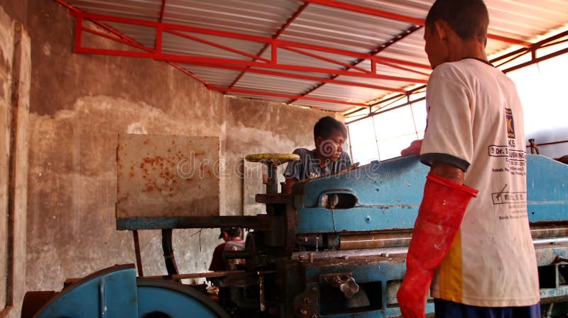 The Process of Producing Cowhide Leather for the Clothing Industry ...