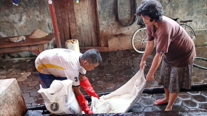 The Process of Producing Cowhide Leather for the Clothing Industry ...