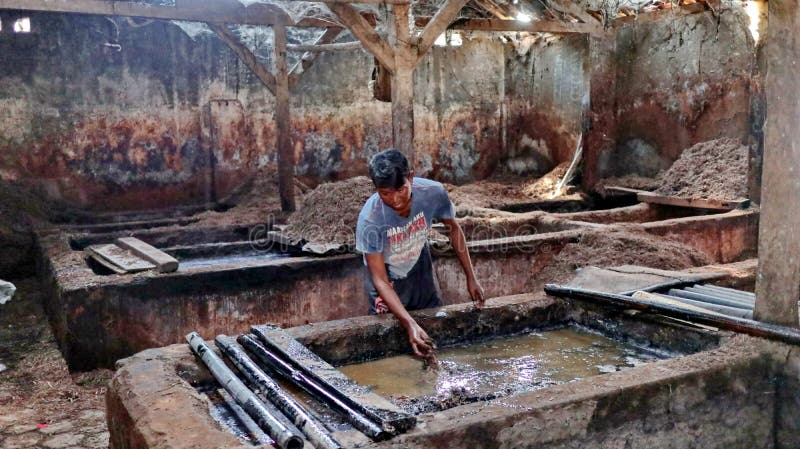 The Process of Producing Cowhide Leather for the Clothing Industry ...