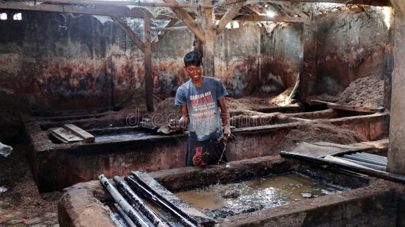 The Process of Producing Cowhide Leather for the Clothing Industry ...