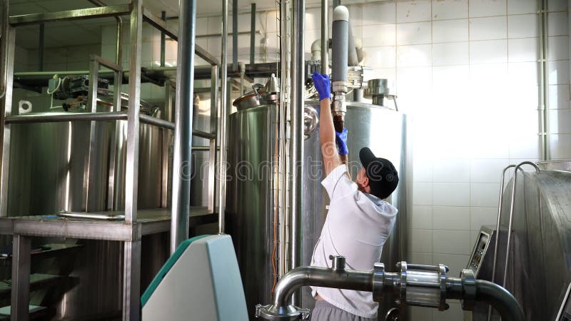 The Process of Producing Various Varieties of Cheese on a Dairy Farm ...