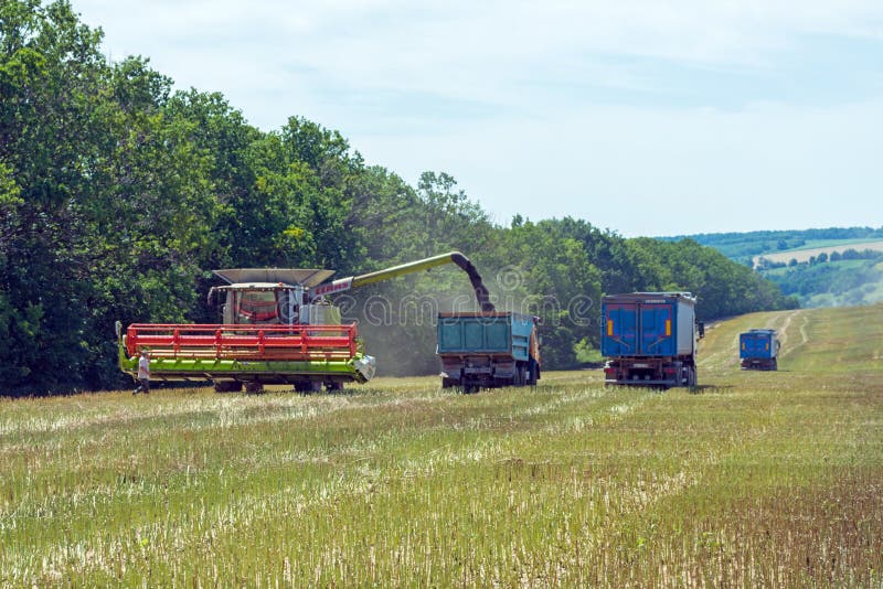 Truck Unloading editorial stock image. Image of lift - 40173749
