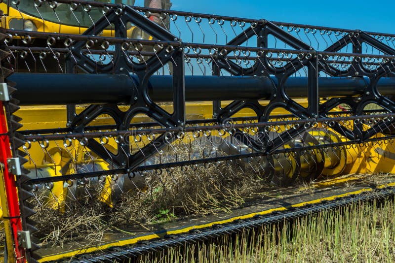 The Process of Harvesting Rice with a Modern Machine Editorial Stock ...