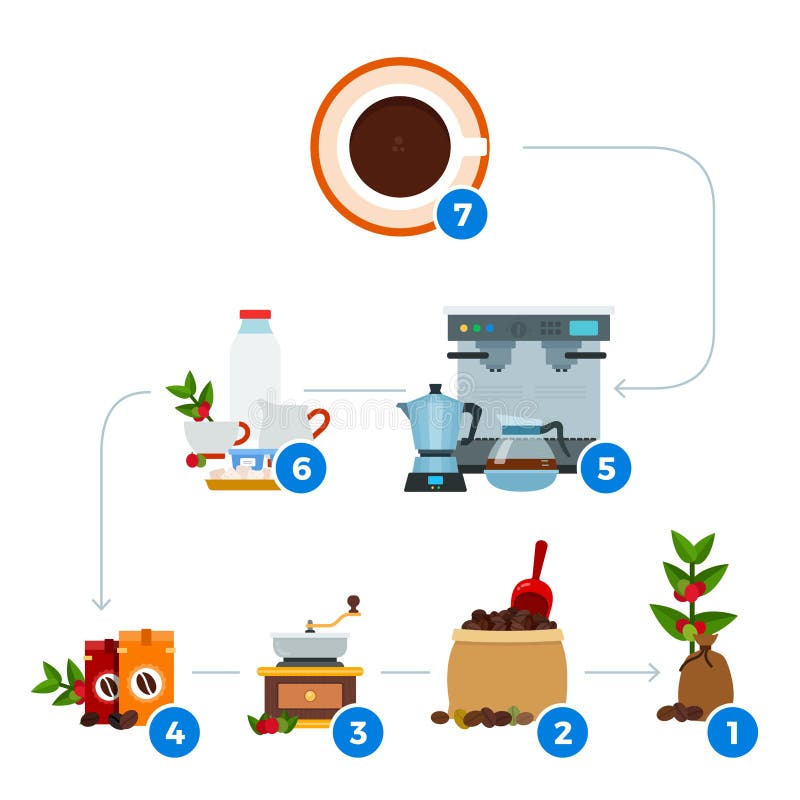Process Making Coffee Stock Illustrations – 983 Process Making Coffee ...