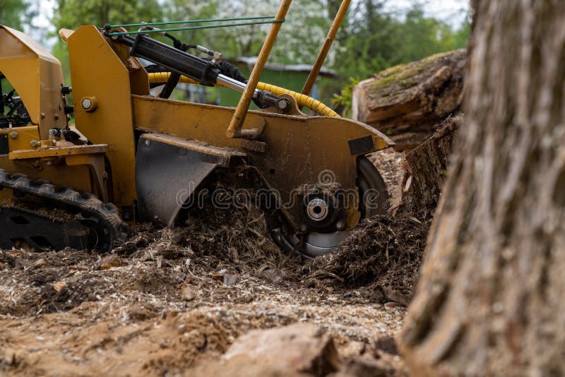 Where Shredding Ameri Stock Photos - Free & Royalty-Free Stock Photos ...