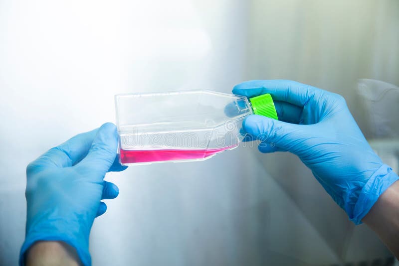 Process of Research and Chemical Experiments with Vials and Ampules in ...