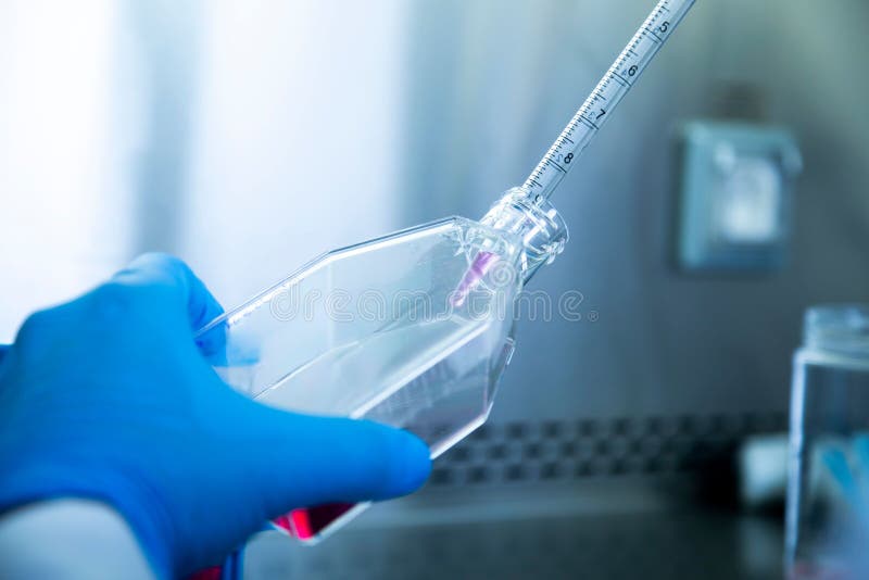 Process of Research and Chemical Experiments with Vials and Ampules in ...