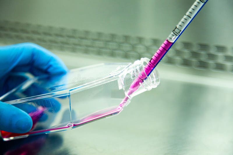 Process of Research and Chemical Experiments with Vials and Ampules in ...