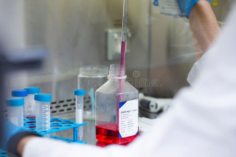 Process of Research and Chemical Experiments with Vials and Ampules in ...