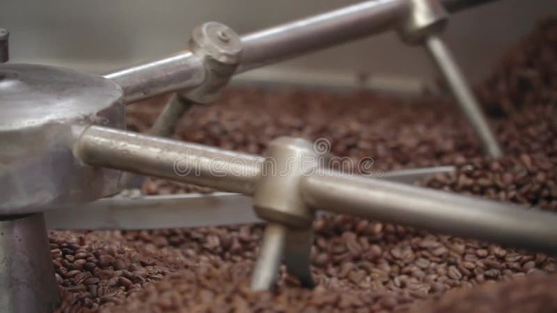 The Process of Roasting Coffee Beans, the Movement of Beans in the ...