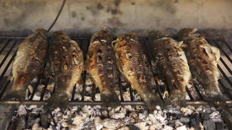 Process of Roasting Fish on the Grill Stock Footage - Video of bones ...