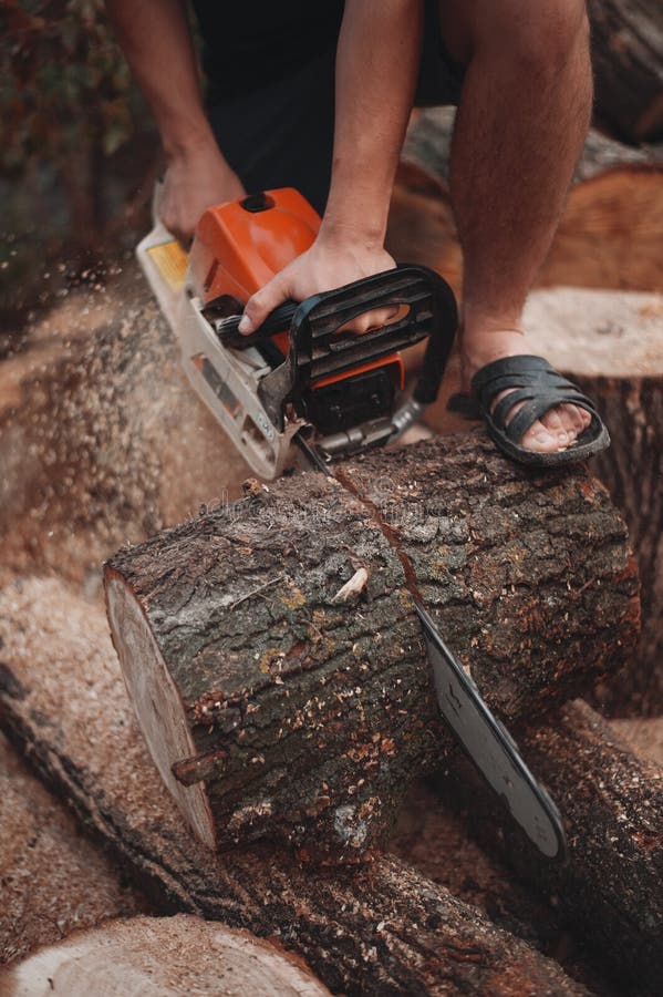 Process of Sawing Wood in Village Stock Photo - Image of hand, gardener ...