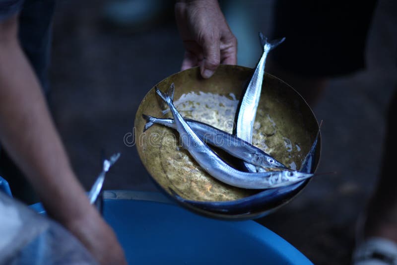 The Process of Selling Fish on the Market Stock Image - Image of blurry ...