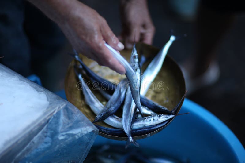 The Process of Selling Fish Stock Image - Image of seafood, value: 96412221