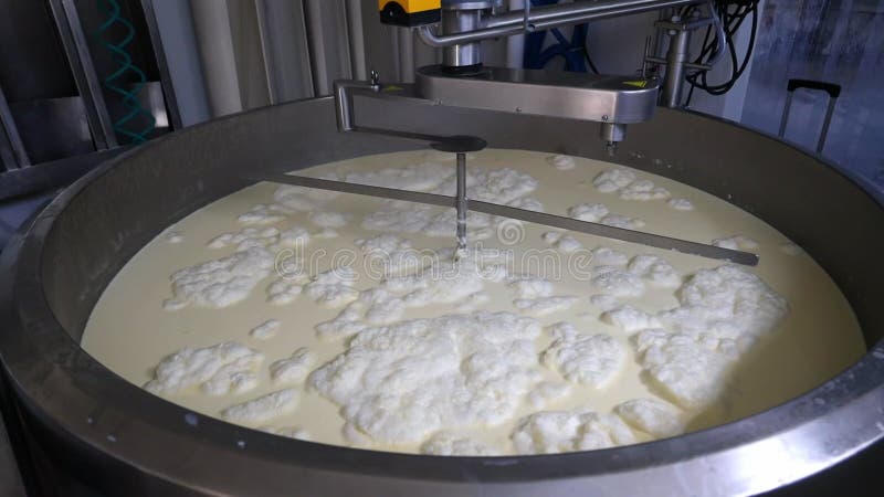 Process of Separating Whey from Curds during Making Cheese in a Local ...