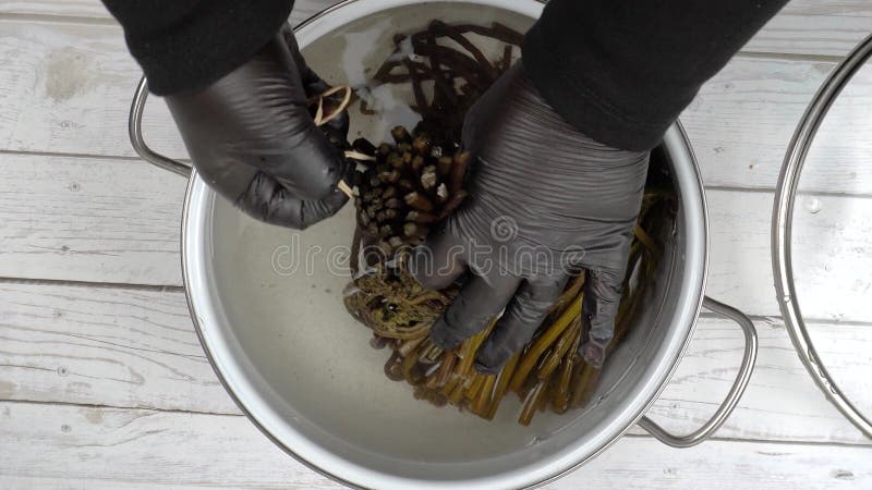 Soaking Salted Fern before Cooking Stock Footage - Video of cooking ...