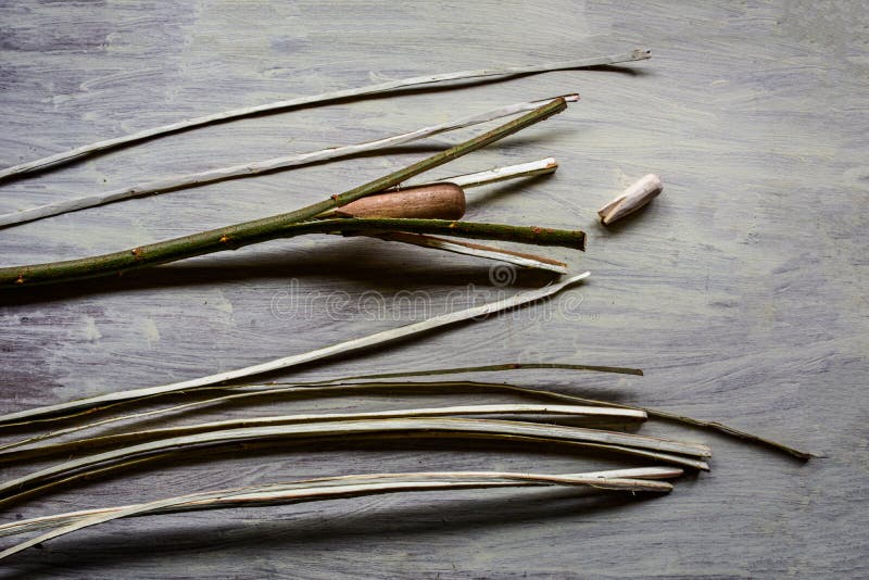 Process of Willow Sticks Preparation for Basket Weaving Stock Image ...
