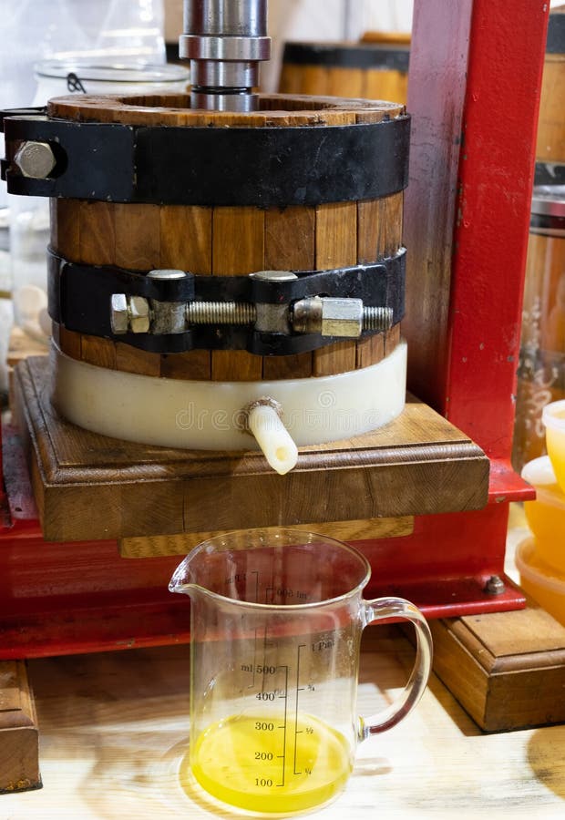 The Process of Squeezing Sunflower Seeds and Making Sunflower Oil at ...