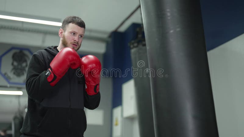 Process of Training a Male Boxer Stock Footage - Video of fighter, male ...