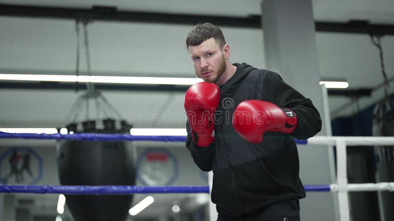 Process of Training a Male Boxer, Slow Motion Stock Video - Video of ...