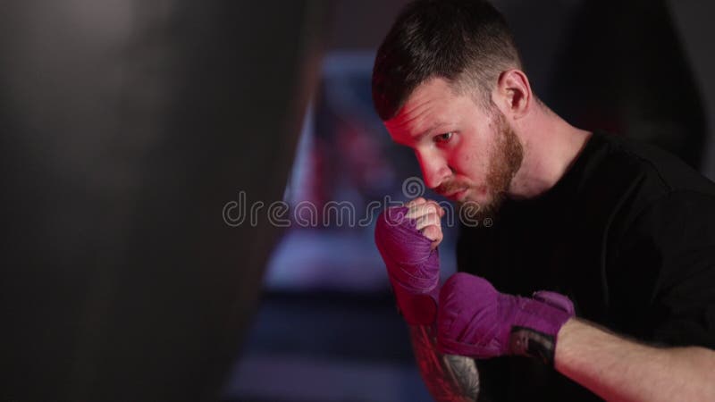Process of Training a Male Boxer, Slow Motion Stock Video - Video of ...