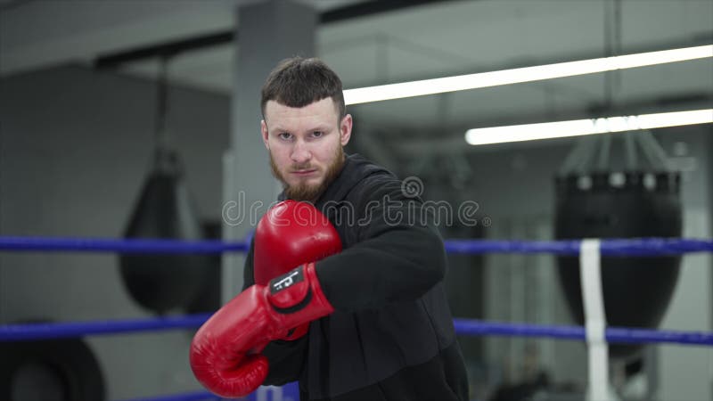 Process of Training a Male Boxer, Slow Motion Stock Video - Video of ...