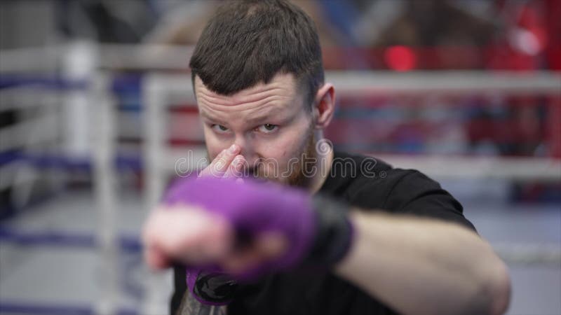 Process of Training a Male Boxer, Slow Motion Stock Footage - Video of ...