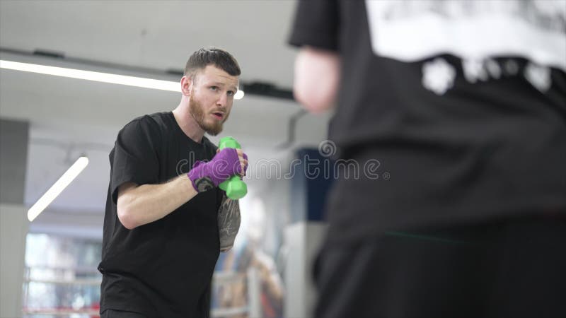Process of Training a Male Boxer, Slow Motion Stock Video - Video of ...