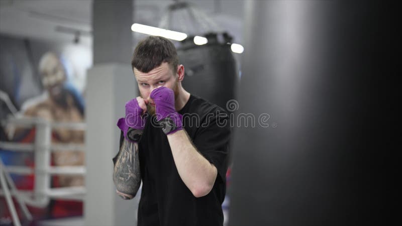 Process of Training a Male Boxer Stock Footage - Video of bandages ...
