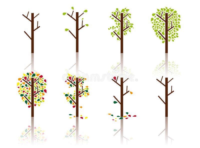 Process of a Tree - Vector Image Stock Vector - Illustration of color ...