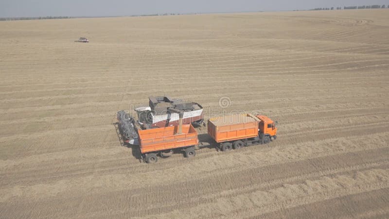 Process of Unloading Combine Hopper into Back of a Truck on Field ...