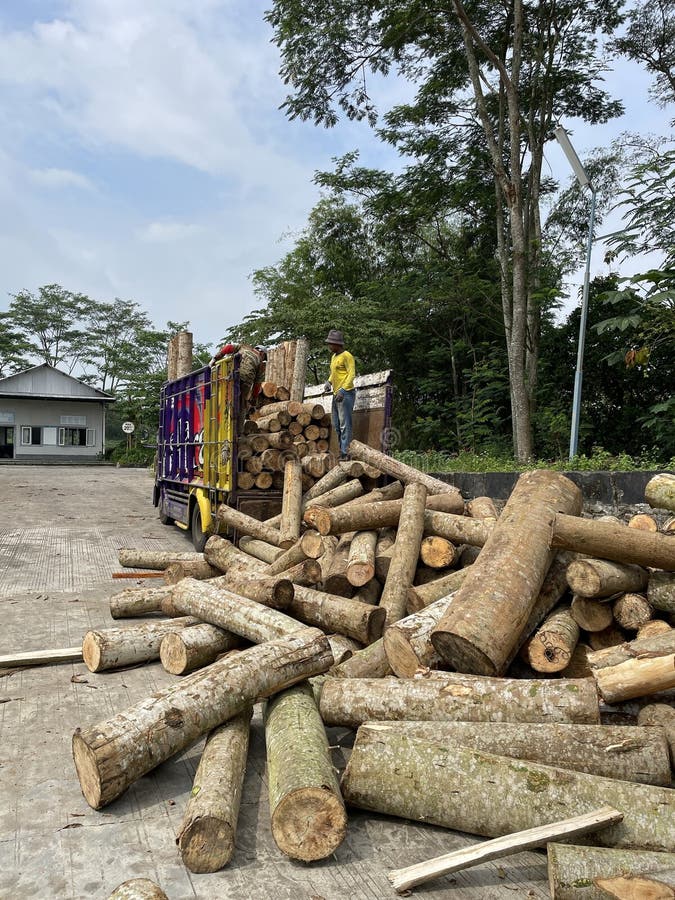The Process of Unloading Round Logs from Trucks. Editorial Stock Photo ...