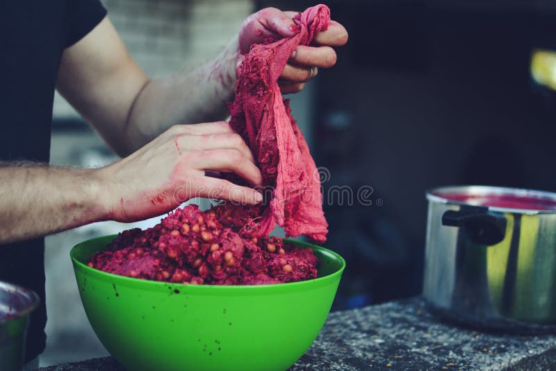 Pressing Cherries for Red Sweet Vine Stock Photo - Image of harvest ...